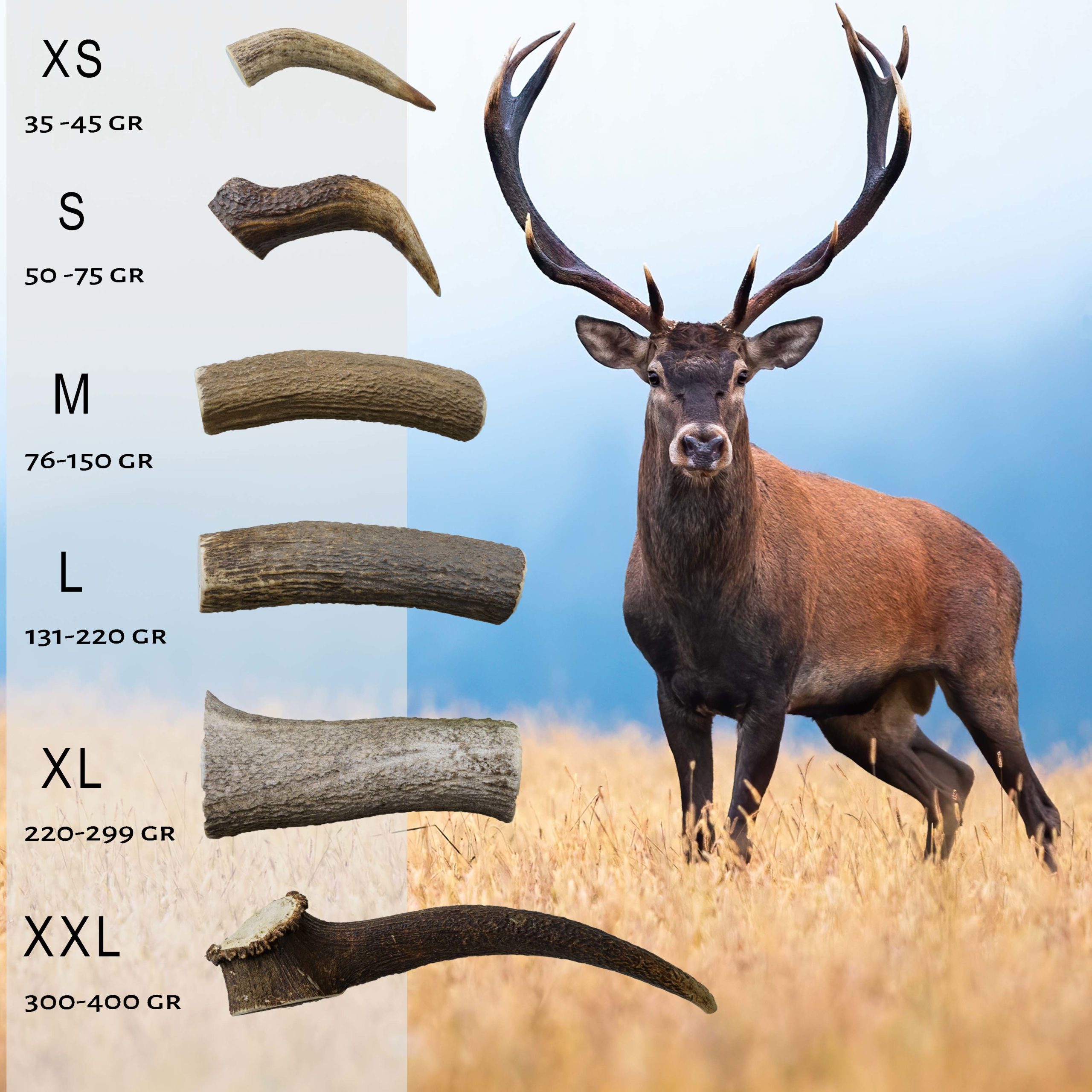 Corna Di Cervo - Ligo - Cucce Per Cani Artigianali